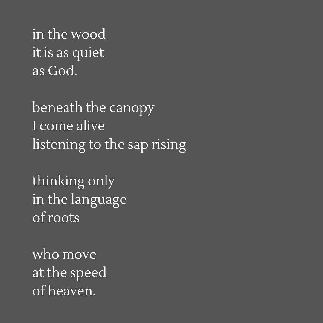 Sabbath poem – Gideon Heugh
